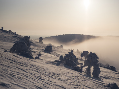 2022-Pyha-simovilhunenphoto-073_0.jpg?itok=MN50rd8a