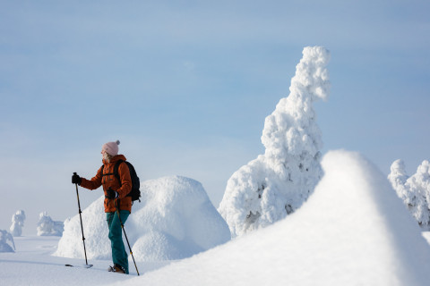 VisitPyhaLuosto-KotaCollectivePhoto-1181.jpg?itok=OVVtQRTv