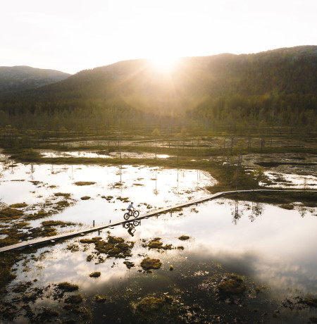 FALKE_Lehrke_Twins_Pyha_activities